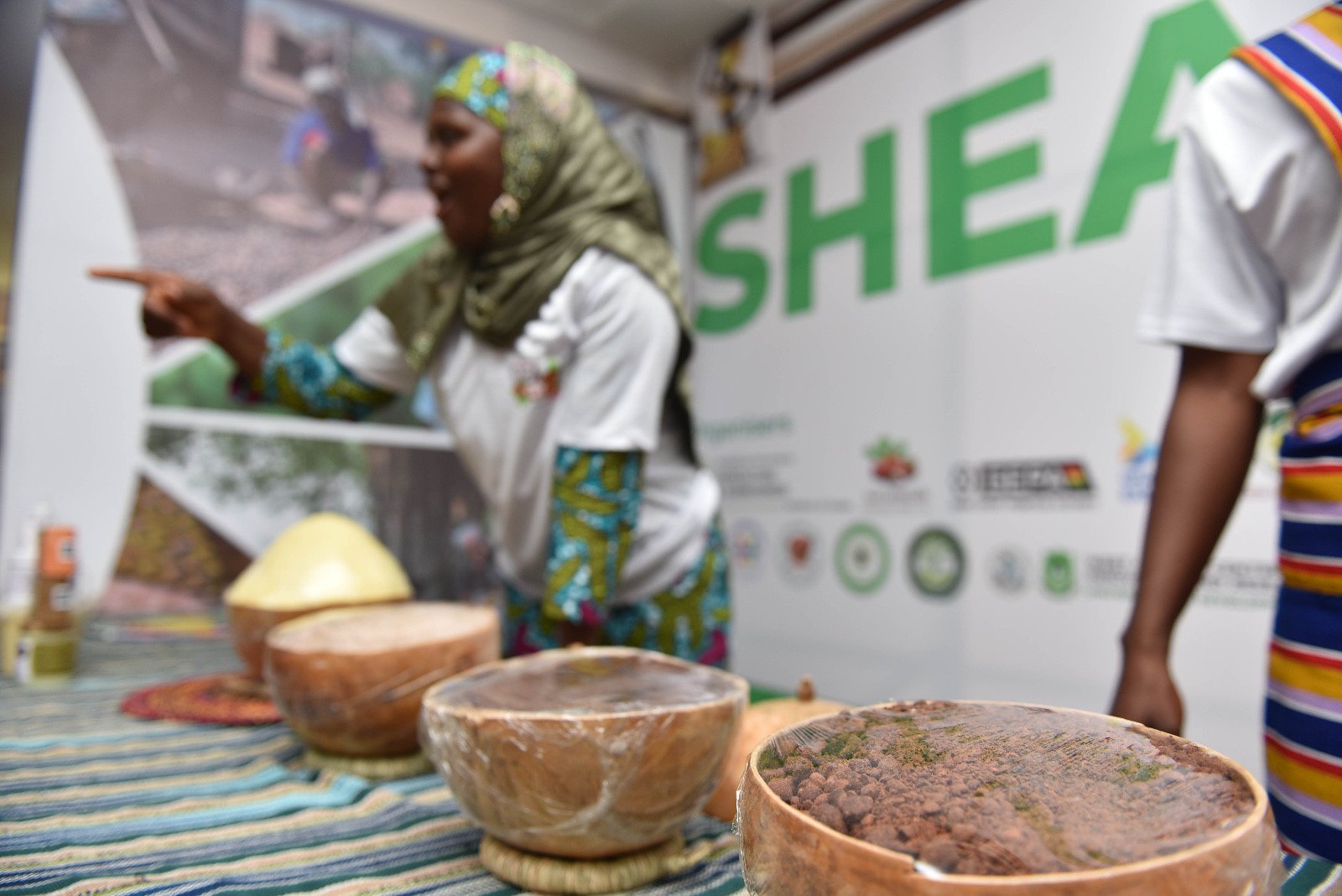 World Shea Expo 2025: Ghana positions shea as billion-dollar industry ...